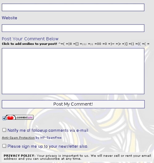 newsletter-booster-comment-form | John Pratt: Digital Marketing and ...
